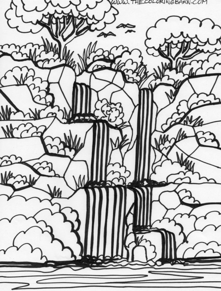 Amazon Rainforest Coloring Pages For Kids | Free Download Coloring ...