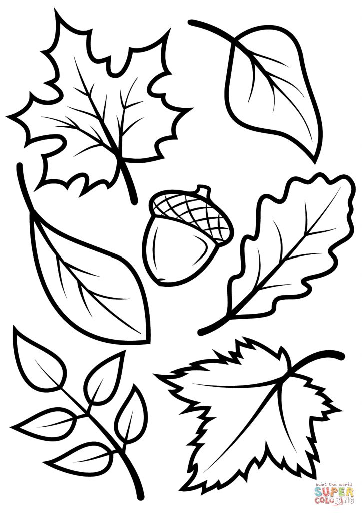 Fall Leaves And Acorn Coloring Page | Free Printable Coloring Pages ...