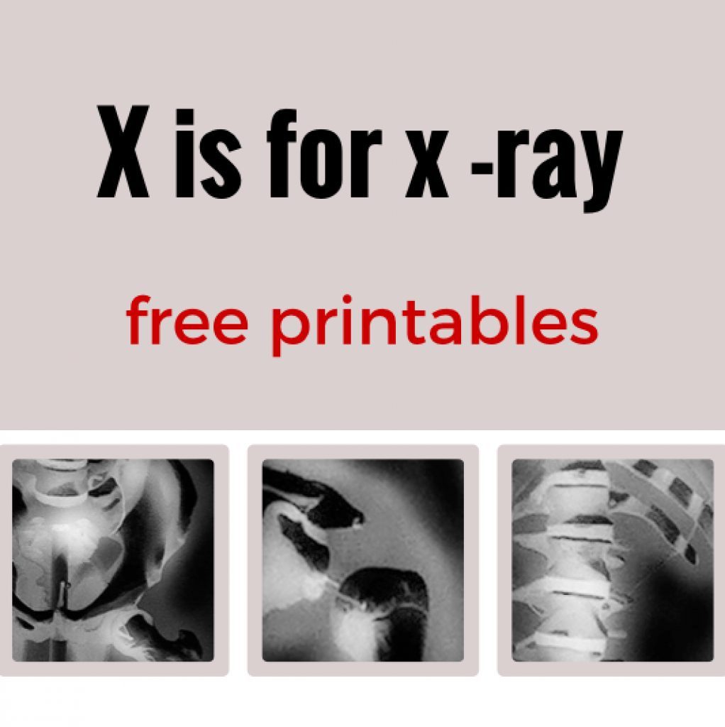 Free Printable Animal X Rays | Free Printable - Free Printable Animal X ...