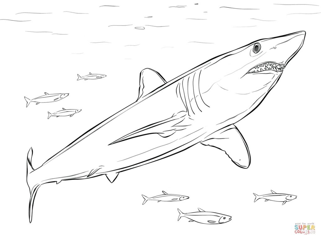 Shortfin Mako Shark Coloring Page | Free Printable Coloring Pages ...
