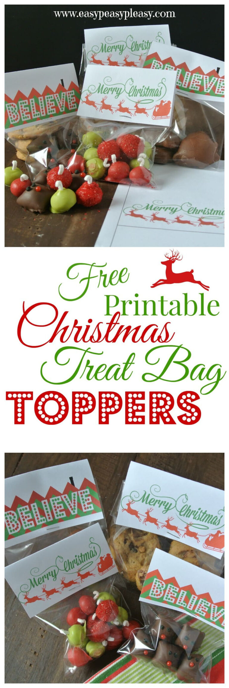 Free Printable Christmas Treat Bag Labels